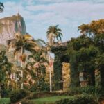 Rio de Janeiro: 4-Hour Botanical Garden & Tijuca Forest Tour - Authentic Experiences from Past Travelers