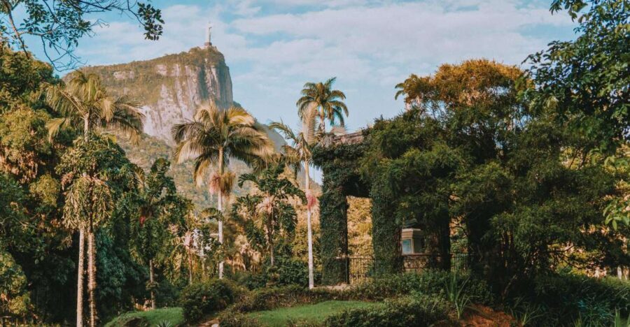 Rio de Janeiro: 4-Hour Botanical Garden & Tijuca Forest Tour - Authentic Experiences from Past Travelers