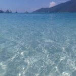 Rio de Janeiro: Arraial do Cabo Scuba Diving Day Trip - Authentic Traveler Perspectives