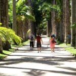 Rio de Janeiro: Botanical Garden Guided Visit - Practical Details and Tips