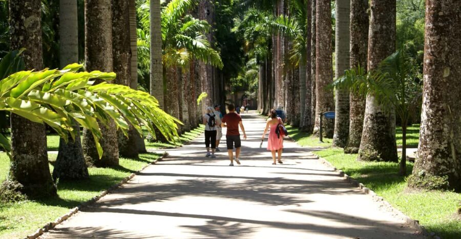 Rio de Janeiro: Botanical Garden Guided Visit - Practical Details and Tips