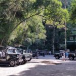 Rio de Janeiro: Jeep Tour in the Tijuca Forest - The Experience: What You Can Expect