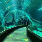Rio de Janeiro: Marine Aquarium Entry Tickets - Is It Worth the Price?
