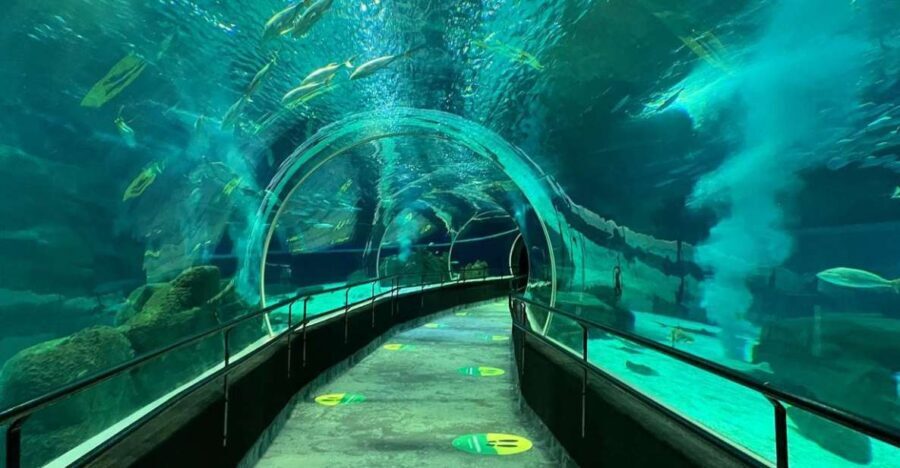 Rio de Janeiro: Marine Aquarium Entry Tickets - Is It Worth the Price?