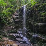 Rio de Janeiro: Tijuca Forest Waterfall of Souls Hike - Who Should Consider This Tour?