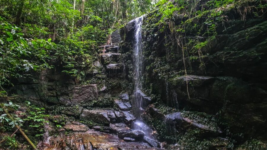 Rio de Janeiro: Tijuca Forest Waterfall of Souls Hike - Who Should Consider This Tour?