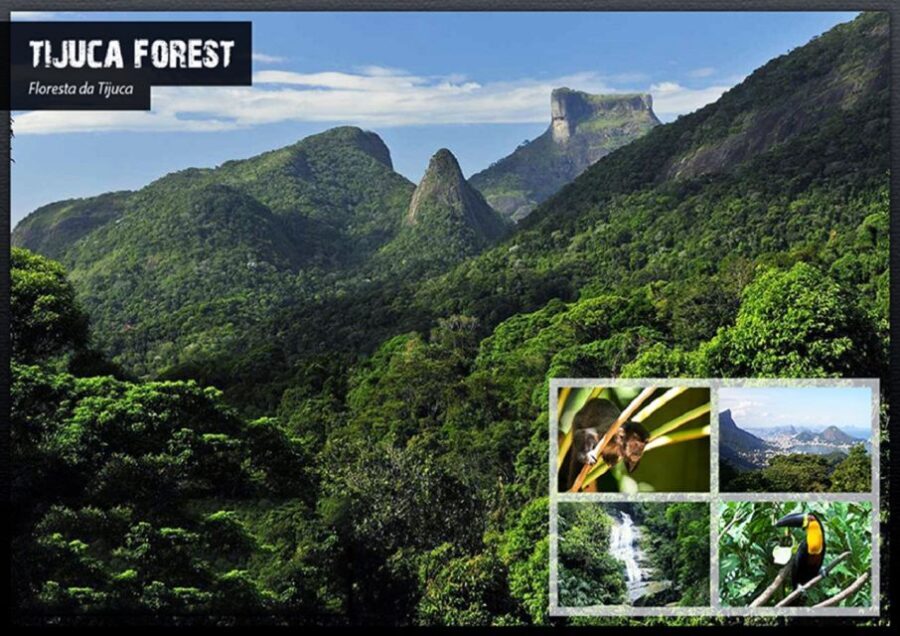 Rio de Janeiro: Tijuca National Park EcoTour - Who Should Consider This Tour?