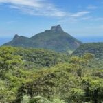 Rio de Janeiro: Tijuca National Park Tour - The Itinerary in Detail