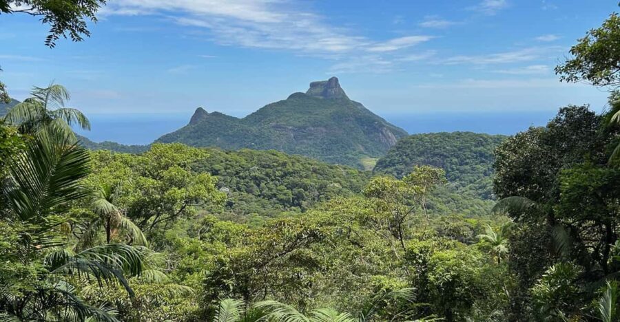 Rio de Janeiro: Tijuca National Park Tour - The Itinerary in Detail