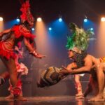 Rio: Ginga Tropical Folkloric Show & Optional Dinner - A Closer Look at the Experience