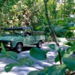 Rio: Jeep Tour 4 Wonders with Lunch - Exploring Tijuca Forest: Nature’s Urban Treasure