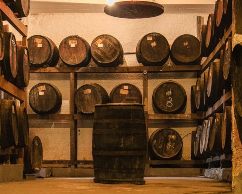 Rio: Sitio Burle Marx and Cachaça Distillery Private Tour - The Sum Up