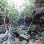 Rio: Tijuca Forest & Horto Waterfalls Circuit Tour - Exploring the Itinerary in Detail