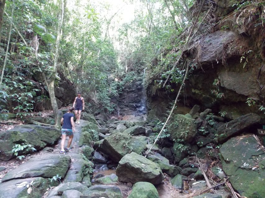 Rio: Tijuca Forest & Horto Waterfalls Circuit Tour - Exploring the Itinerary in Detail