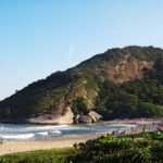 Rio's Best Hidden Beaches Small Group Tour - What Travelers Say