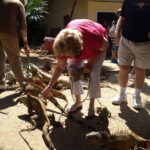 Roatán: Private Monkey and Sloth Sanctuary Tour - Why This Tour Offers Good Value