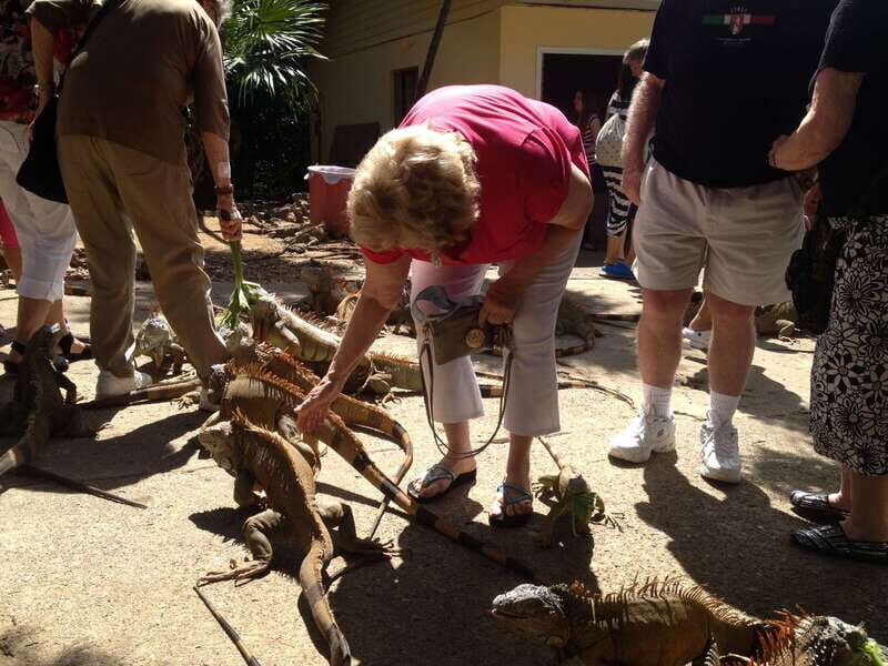 Roatán: Private Monkey and Sloth Sanctuary Tour - Why This Tour Offers Good Value