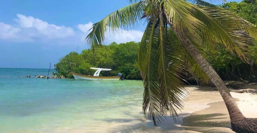 Rosario Islands -Barú : Agua Azul Beach, with lunch - An In-Depth Look at the Rosario Islands -Barú Tour