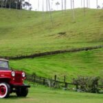 Salento, Cocora and Filandia Tour from Pereira or Armenia - What You Can Expect from the Tour