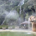 Salento, Cócora and Hot Springs Tour from Pereira or Armenia - The Itinerary: What to Expect