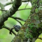 Salento: hike to learn about Birds - Who Will Enjoy This Tour?