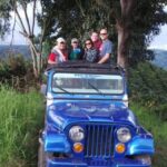 Salento: Private Cocora Valley, Salento & Coffee Farm Tour - What the Reviews Say