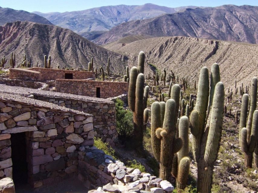 Salta: Quebrada de Humahuaca and Purmamarca Day Trip - Is It Worth It? Analyzing the Value