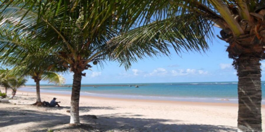 Salvador: Praia Do Forte and Guarajuba Beach Day Trip - Why the Beaches of Bahia Matter