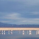 San Pedro de Atacama: Piedras Rojas, Salar de Atacama, Lakes - Detailed Itinerary and Highlights