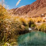 SAN PEDRO DE ATACAMA: PURITAMA HOT SPRINGS WITH ENTRANCE FEE - Transportation and Logistics