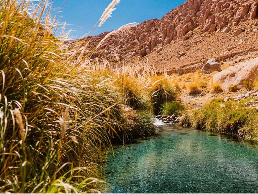 SAN PEDRO DE ATACAMA: PURITAMA HOT SPRINGS WITH ENTRANCE FEE - Transportation and Logistics