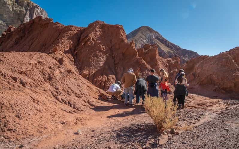 San Pedro de Atacama: Rainbow Valley and Petroglyphs Tour - Who Is This Tour Best Suited For?