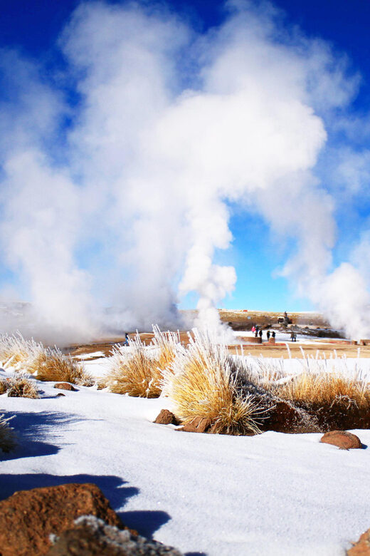 San Pedro de Atacama: Small-Group Tour to Tatio Geysers - Who Would Love This Tour?