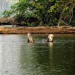 Sandoval Lake Full Day - What’s Included and What’s Not