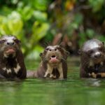 Sandoval Lake Full Day - What’s Included and What’s Not