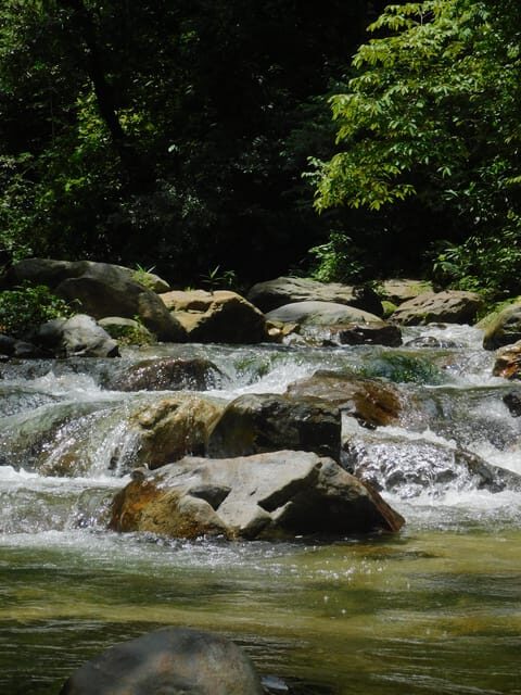 Santa Marta: San Isidro de La Sierra Waterfall Day Tour - What We Loved About the Tour