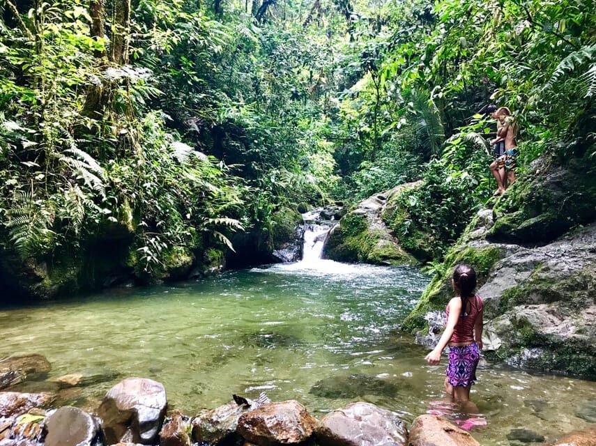 Santa Rita Waterfall and Salento Private Tour - Who Will Love This Tour?