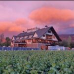 Santiago: Alyan Winery Sunset with Wine Tastings and Dinner - The Scenery and Views