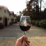 Santiago: Concha y Toro and Undurraga Vineyards Tour - Is This Tour Worth the Price?