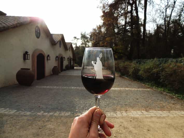 Santiago: Concha y Toro and Undurraga Vineyards Tour - Is This Tour Worth the Price?