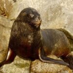 Santiago: Valparaiso, Viña del Mar, & Casablanca Valley Tour - What Makes This Tour Stand Out