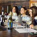 Santiago: World-class Wines, Visit to 4 Vineyards and Tanino - The Scenic and Educational Experience