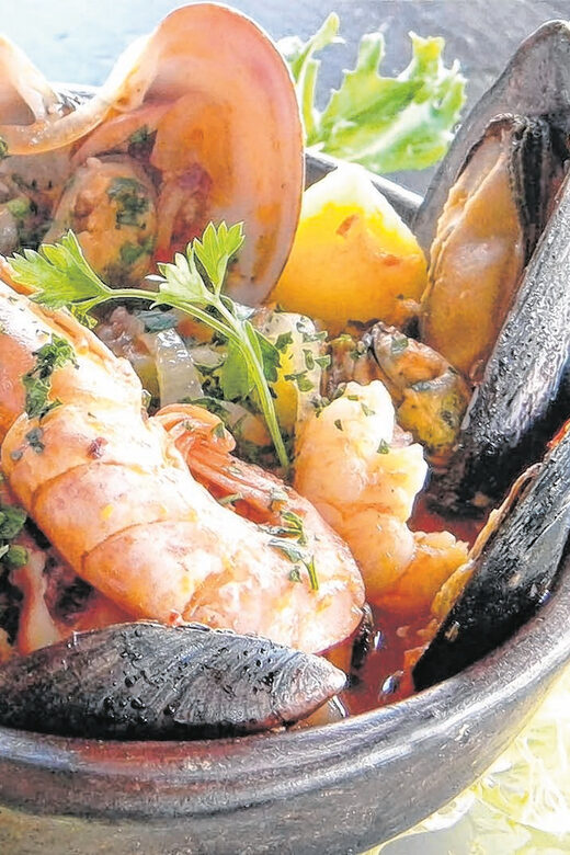 Santiago: Zapallar Beach Private Day Trip - Analyzing the Value