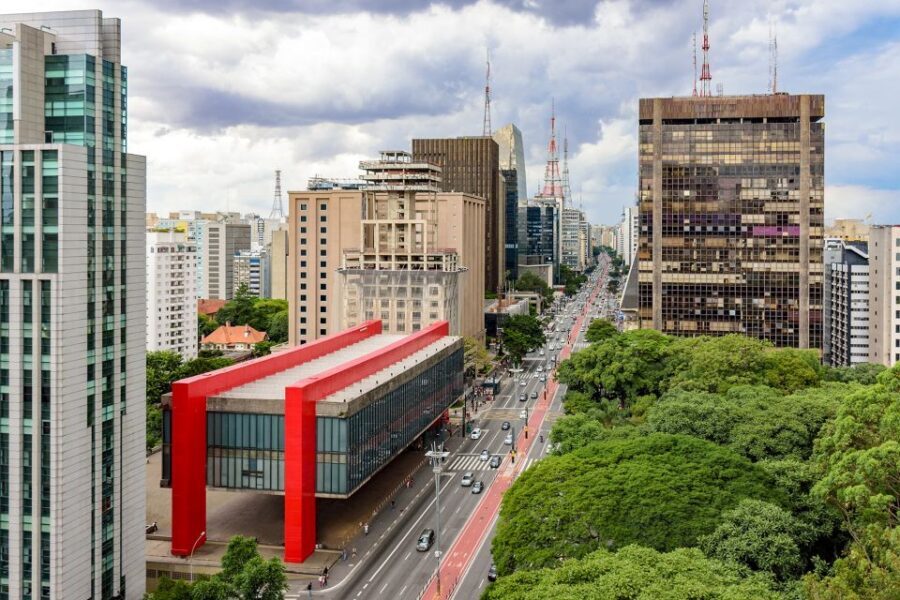 São Paulo City: 5-Hour Private Tour - What the Reviews Say