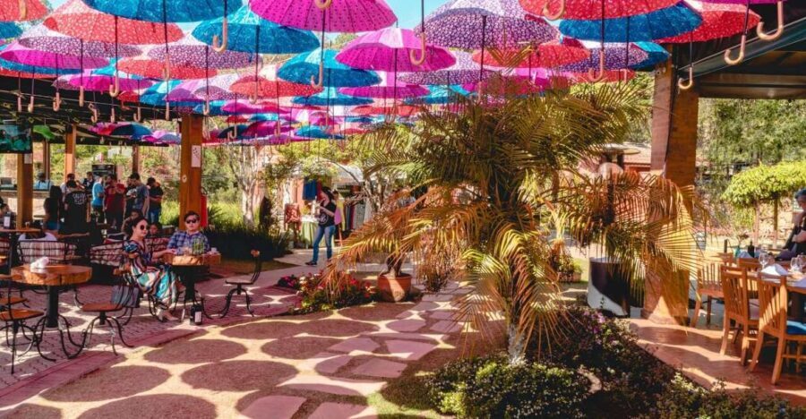 São Paulo: Full-Day Private Wine Tour in São Roque - Final Thoughts