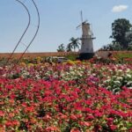 São Paulo: Holambra Colorful Flower Farm Guided Day Trip - Final Thoughts