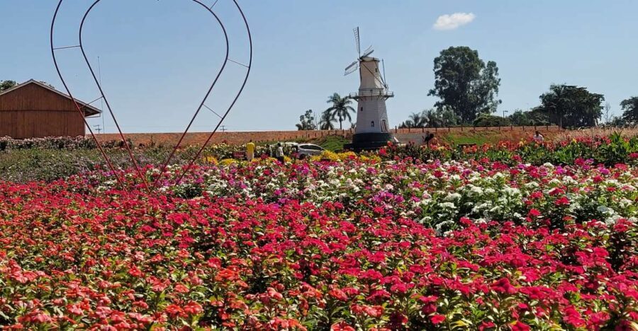 São Paulo: Holambra Colorful Flower Farm Guided Day Trip - Final Thoughts