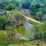 Scenic Horseback Ride in Tropical Mountain Reserve - Practical Details