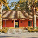 Sensory Journey: Visit to the Santa Rita vineyards - The Experience and Atmosphere