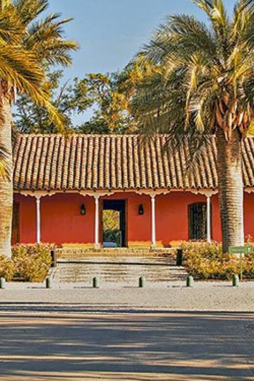 Sensory Journey: Visit to the Santa Rita vineyards - The Experience and Atmosphere